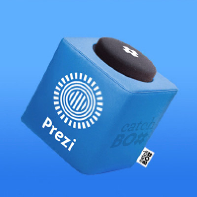 Custom Cover - Catchbox Schweiz