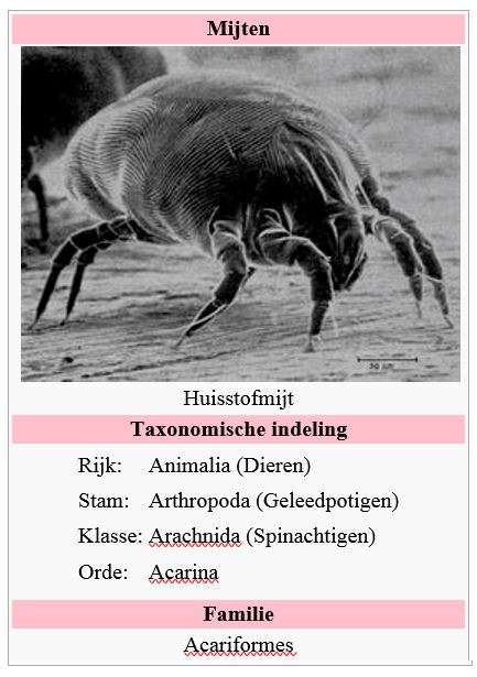 De parasitaire infecties - De website van Kevin Clijmans!