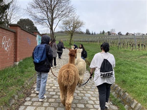 Wanderung mit tierischer Begleitung - K17 Bundesschulen ...