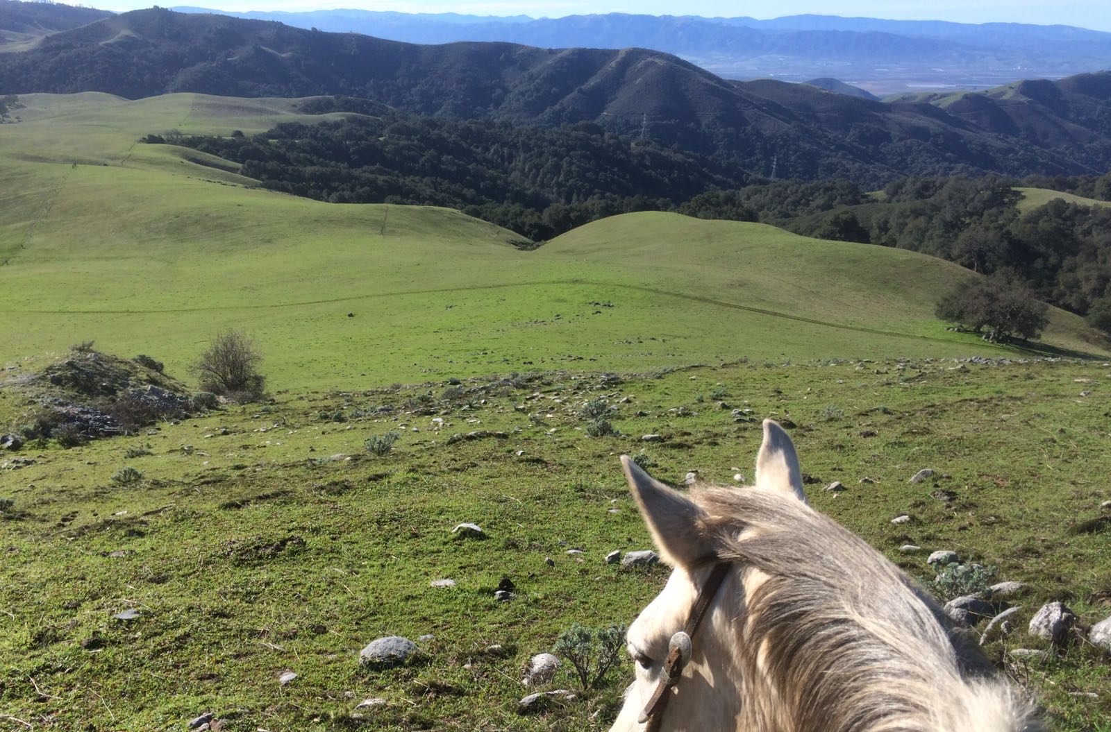 Gabilan Ranch, Kalifornien USA - HETS - Die Schule für NHMS