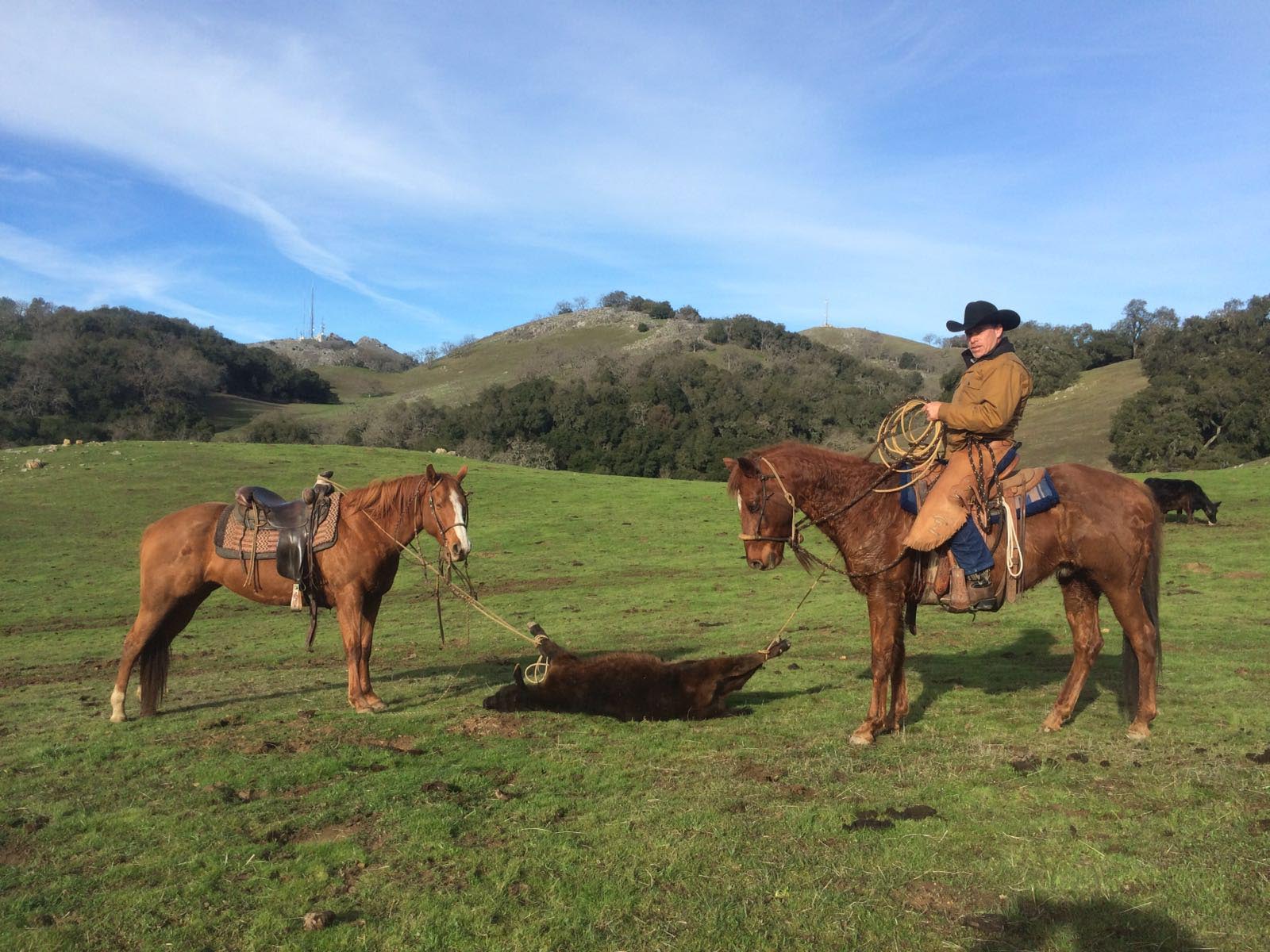 Gabilan Ranch, Kalifornien USA - HETS - Die Schule für NHMS