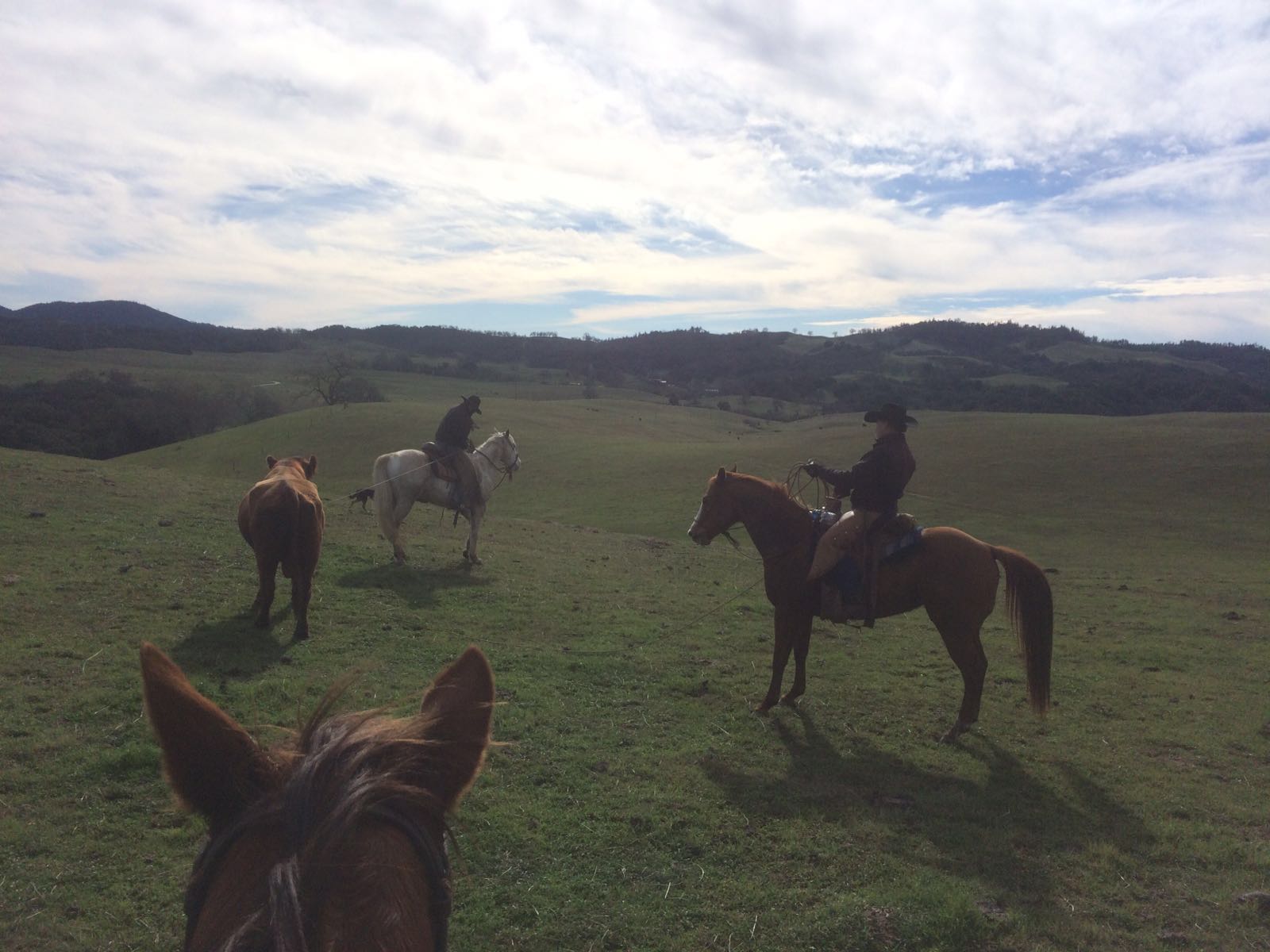 Gabilan Ranch, Kalifornien USA - HETS - Die Schule für NHMS