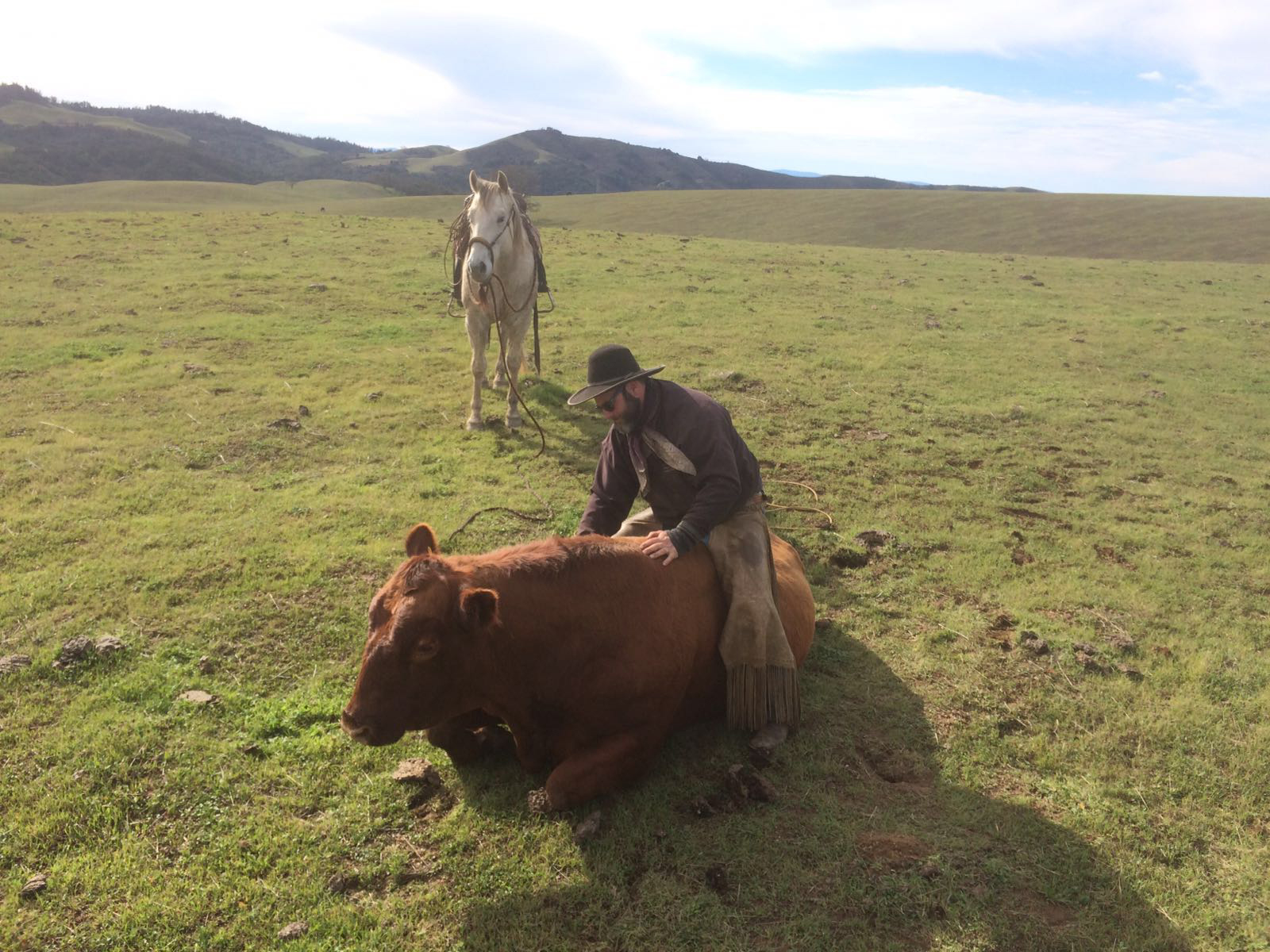 Gabilan Ranch, Kalifornien USA - HETS - Die Schule für NHMS