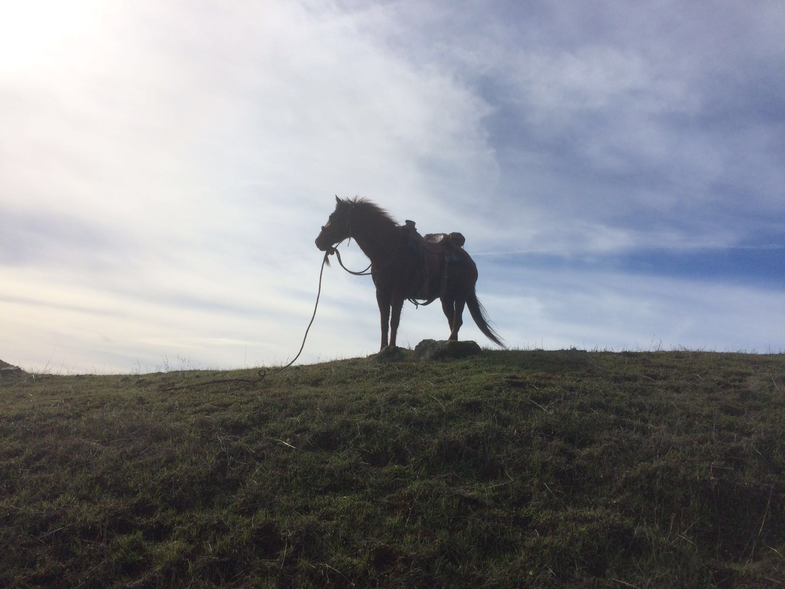 Gabilan Ranch, Kalifornien USA - HETS - Die Schule für NHMS