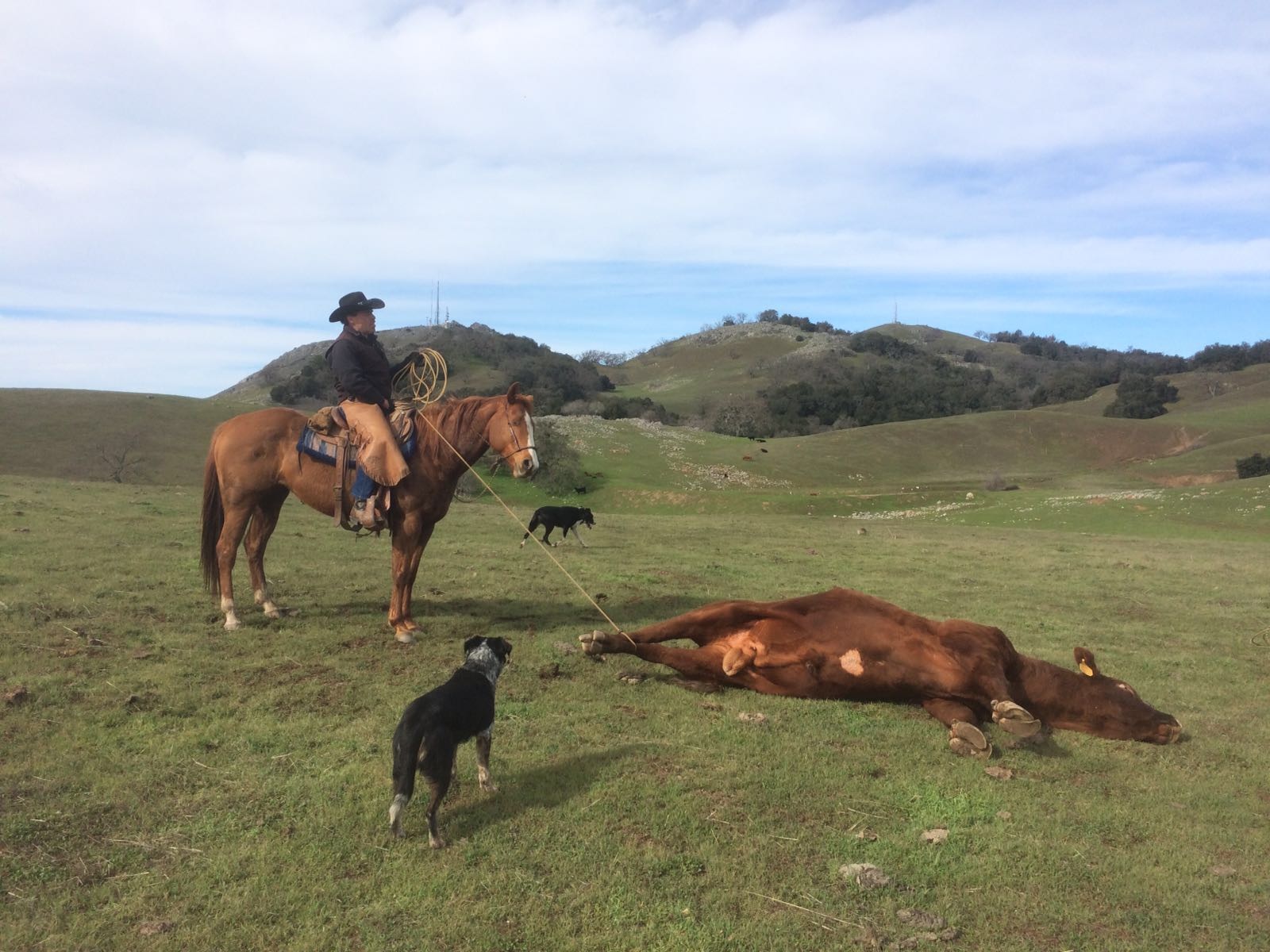 Gabilan Ranch, Kalifornien USA - HETS - Die Schule für NHMS