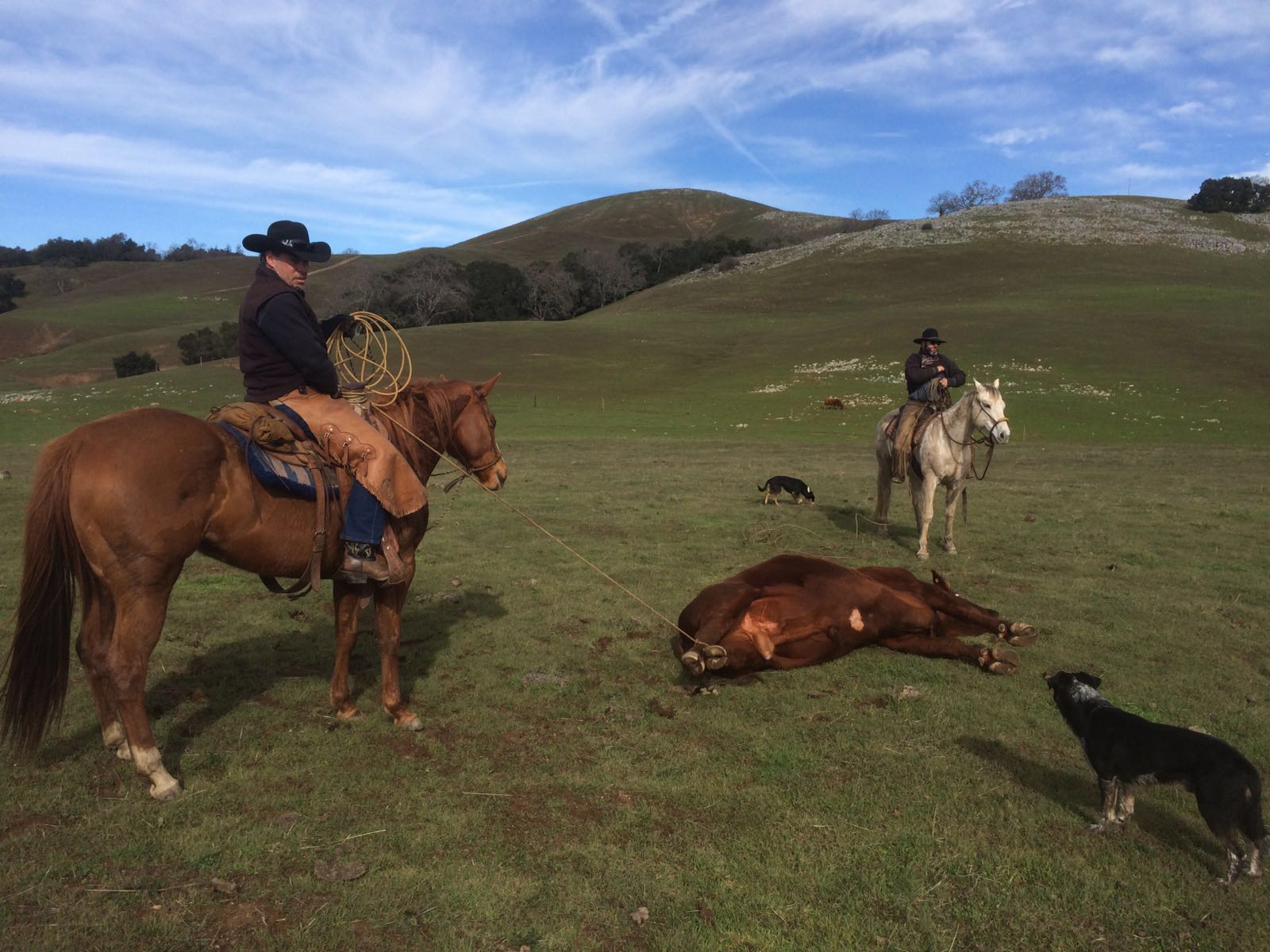 Gabilan Ranch, Kalifornien USA - HETS - Die Schule für NHMS