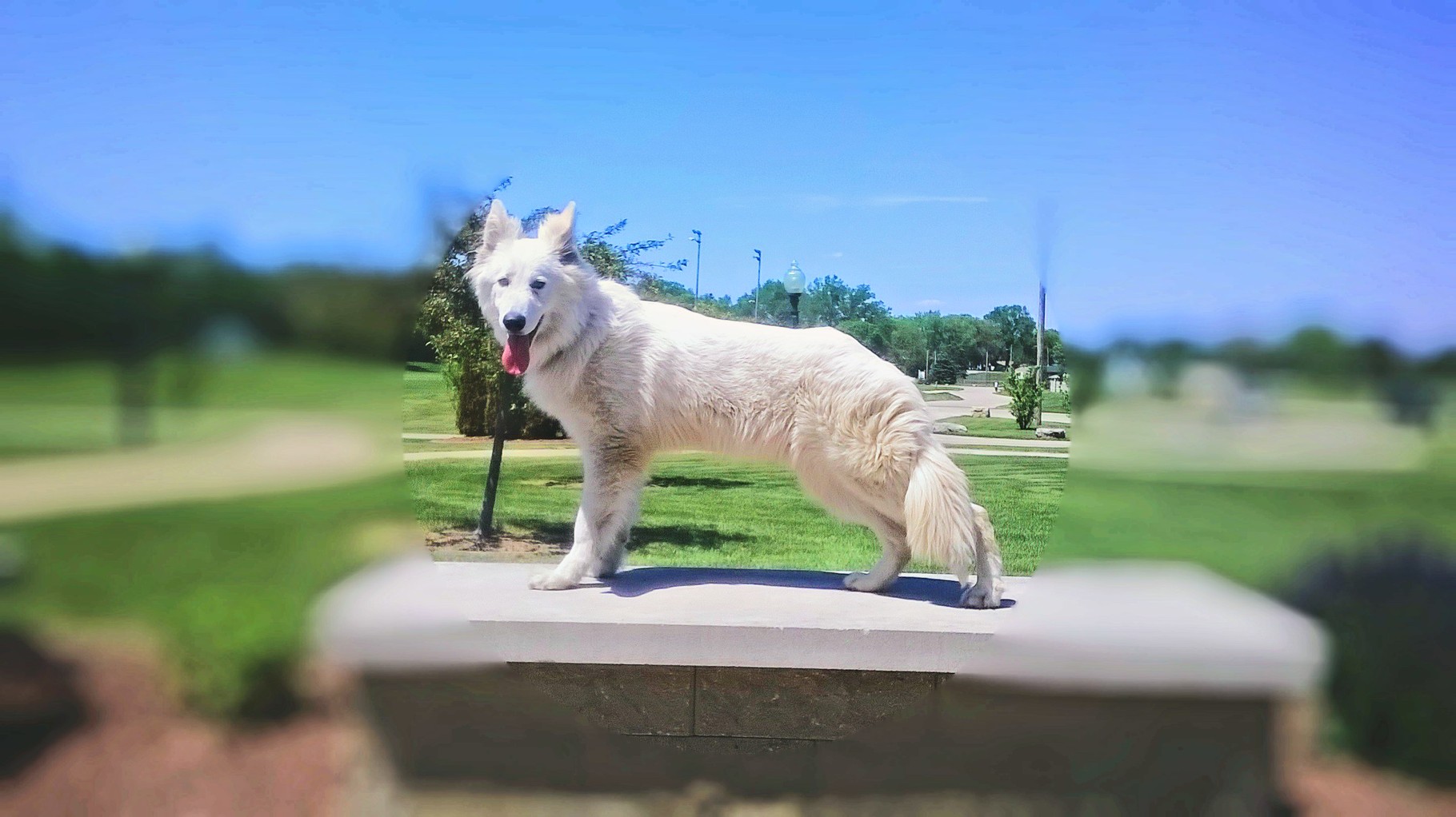 Mighty Little Hiccup ~~~ - arwenoftheunegawaya