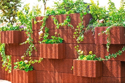 Pflanzsteine & Pflanzringe | Tipps - GEBR. ZIEGLOWSKI