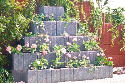 Pflanzsteine & Pflanzringe | Tipps - GEBR. ZIEGLOWSKI