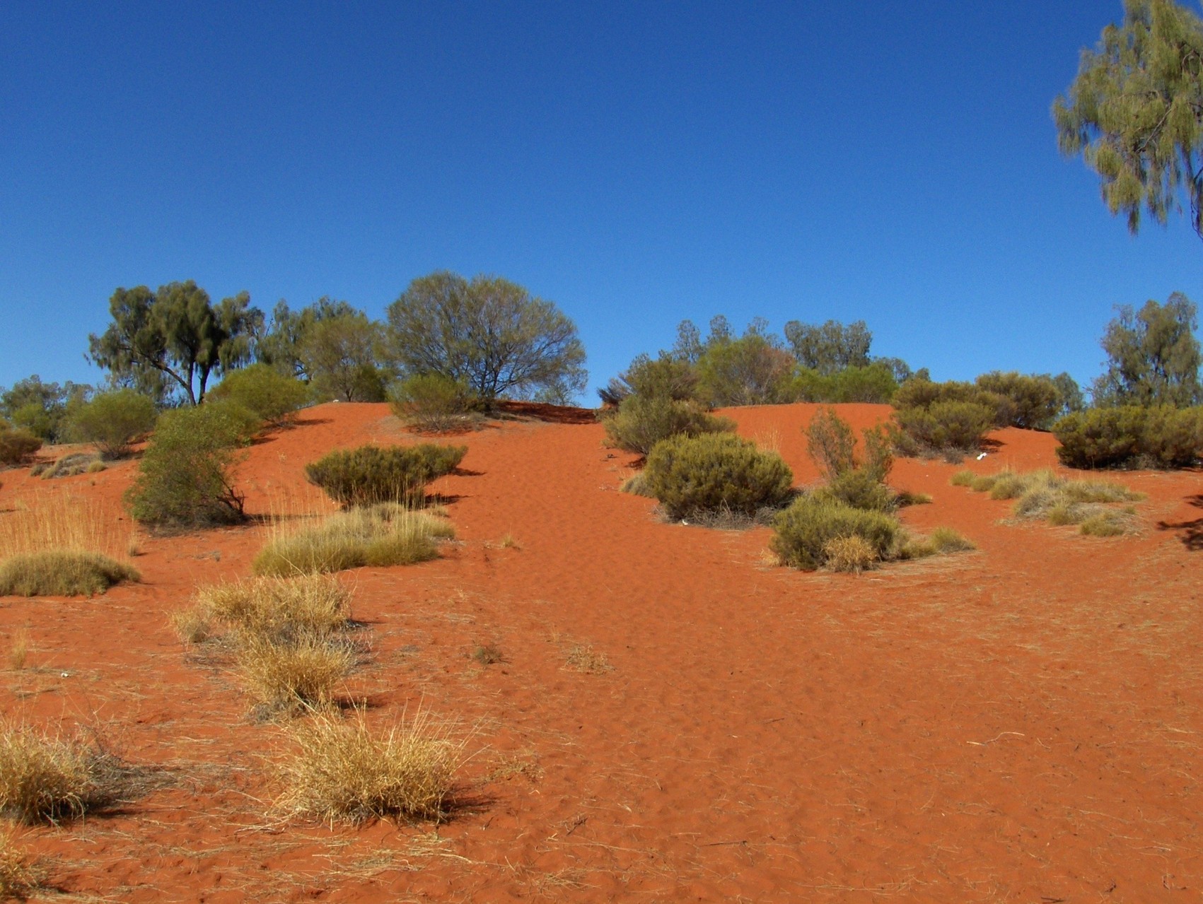 bekijk heerlijke rustgevende foto's en zet het rustige achtergrond ...