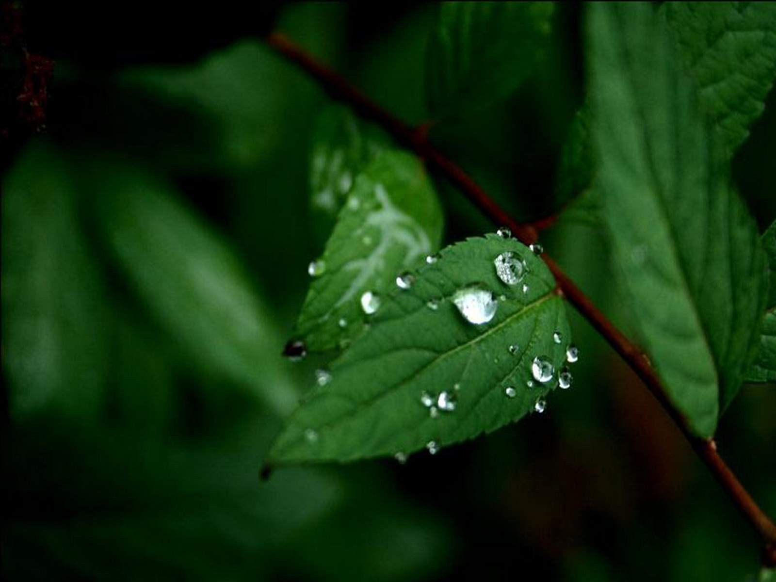 bekijk heerlijke rustgevende foto's en zet het rustige achtergrond ...
