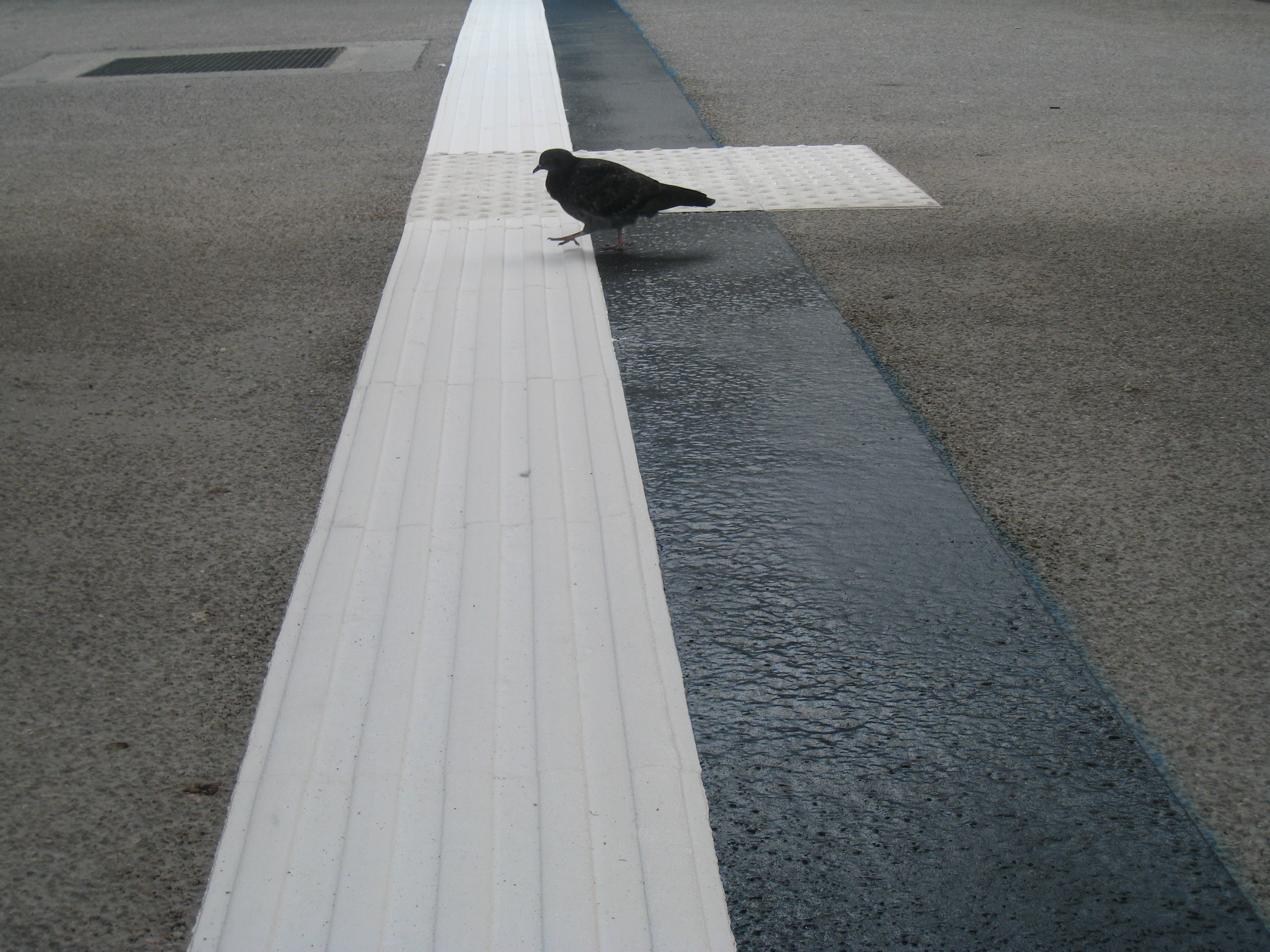 Taktile Markierung TagPad und TagGuide - Leitsysteme | Markierung