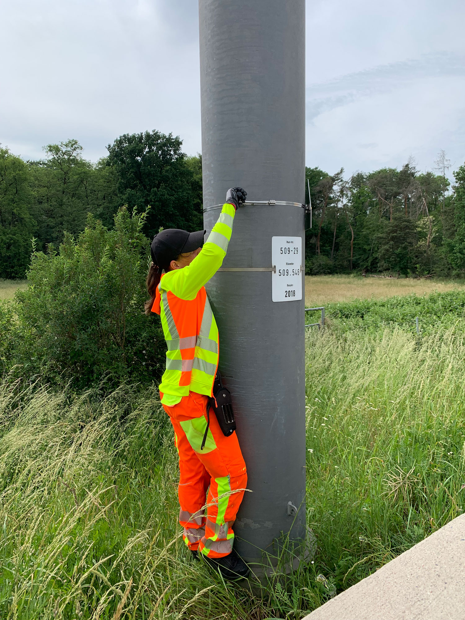 Tamtorque Das Original - DiebstahlHemmend und extrem belastbar ...