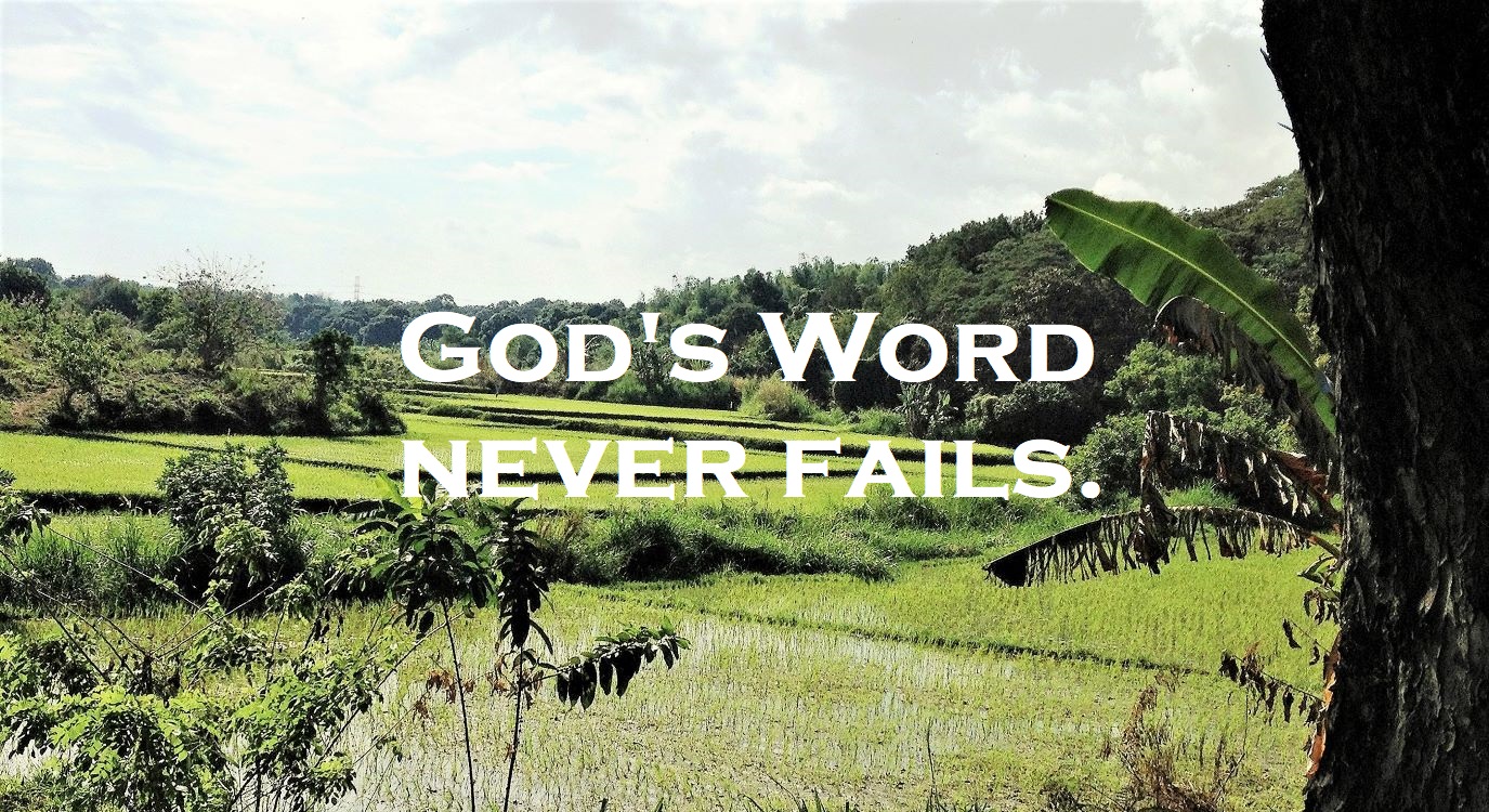 Renewing Faith using Photos of the Recent Past - Expressions