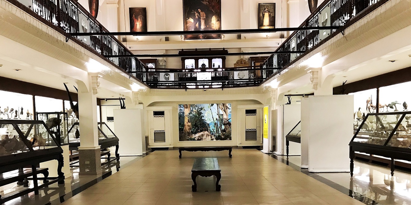 Philippines, University of Santo Tomas UST Museum, Manila, Metro Manila - Expressions