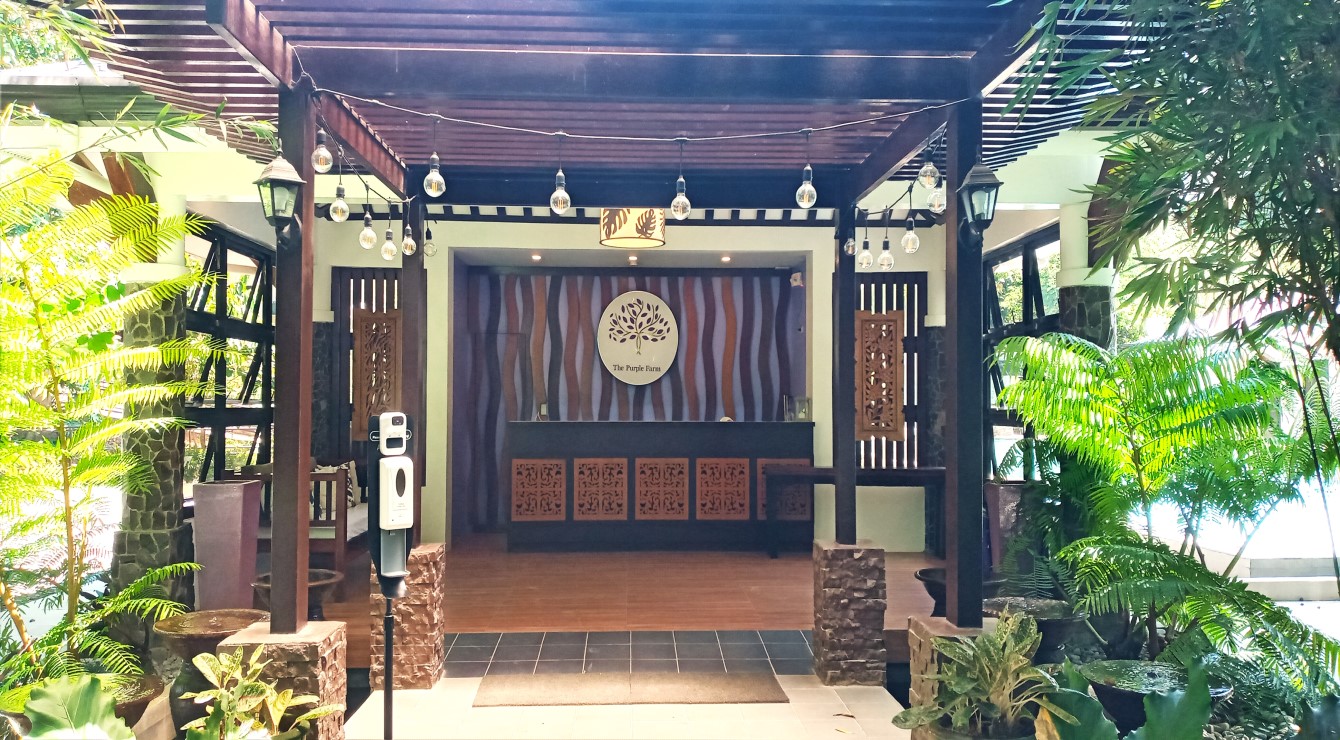 PURPLE FARM in Dinalupihan, Bataan - Expressions