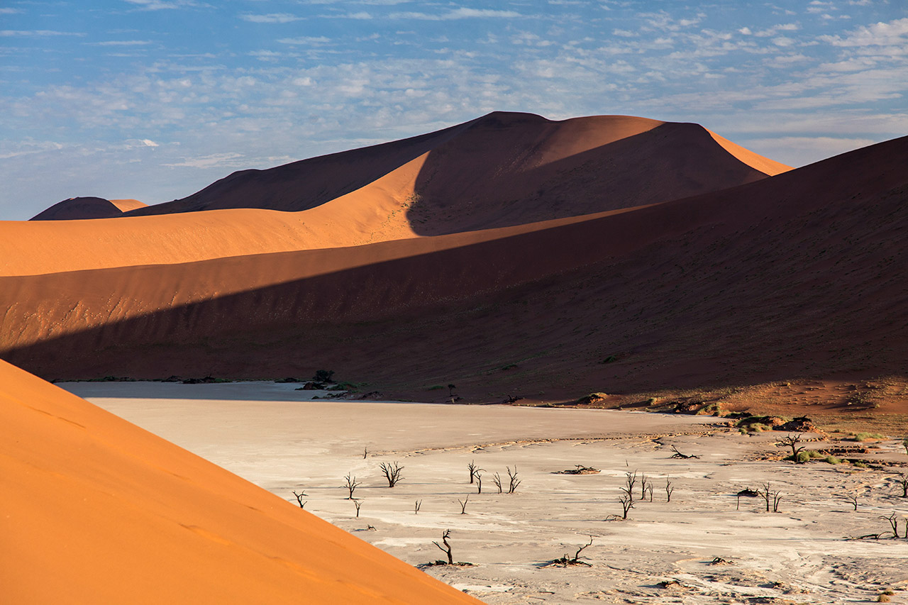 Dead Vlei - World Photography - Image Galleries by Aike M. Voelker