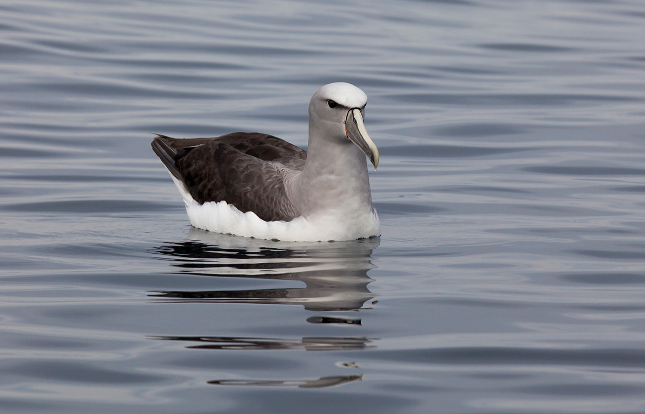 Beauty - World Photography - Image Galleries by Aike M. Voelker