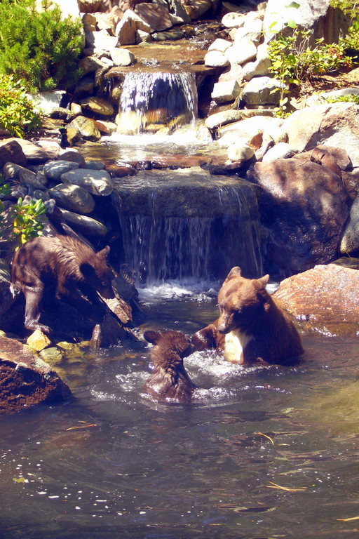 Picture Gallery - Homepage of David Finger