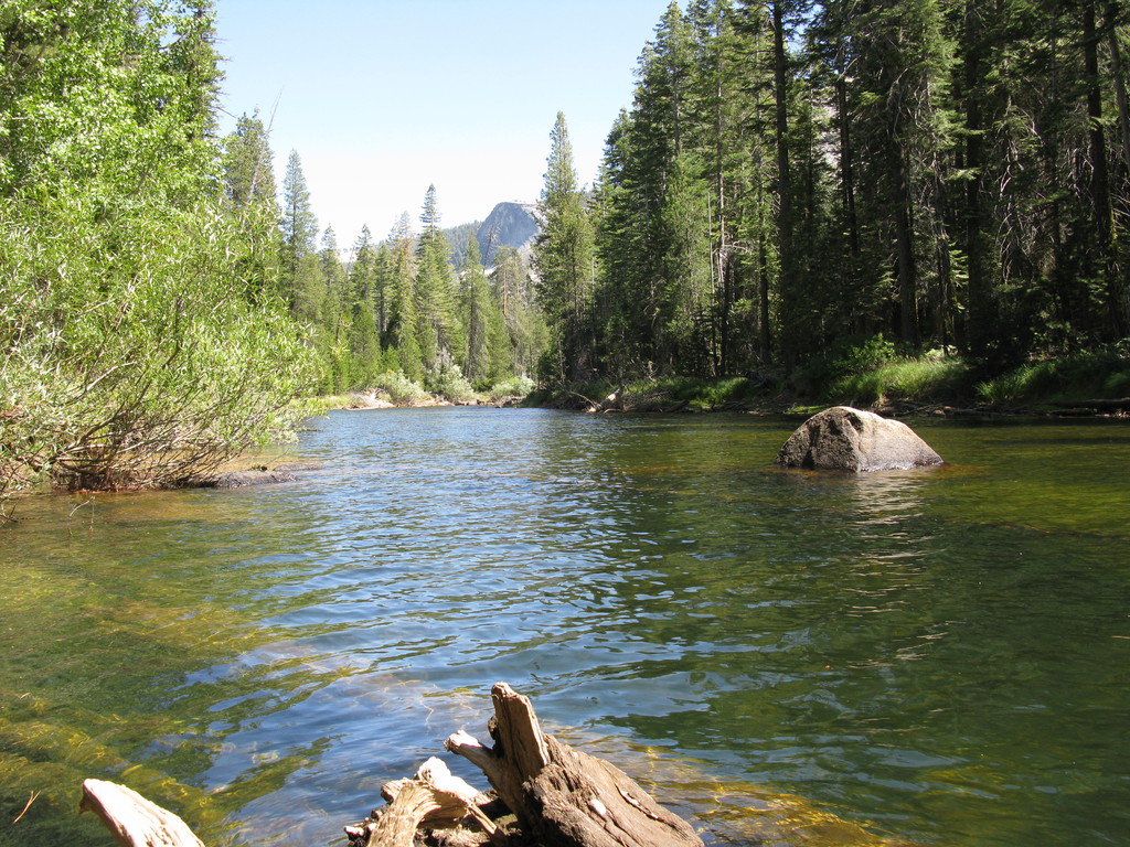 Picture Gallery - Homepage of David Finger