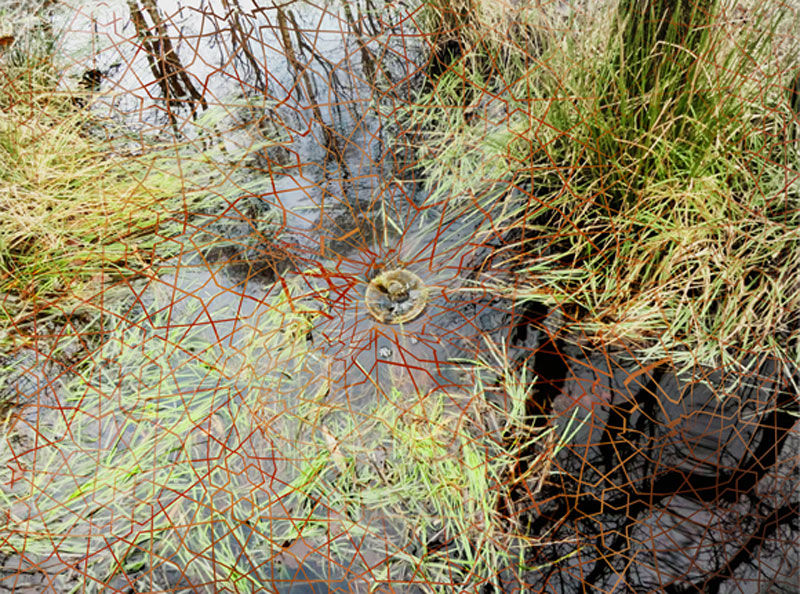 Jahresgaben - Frauenmuseum Berlin