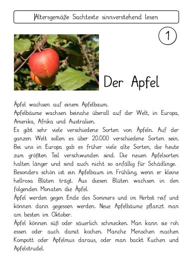 Sachtexte sinnverstehend lesen - fraumohrsrasselbandes Webseite!