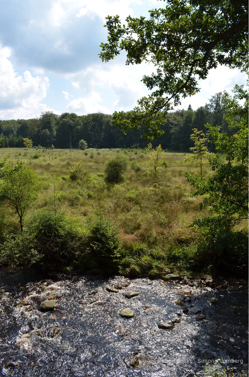Wanderung: Eupen, Talsperre, Hill Tal, Ternell - sieben-punkt Webseite!