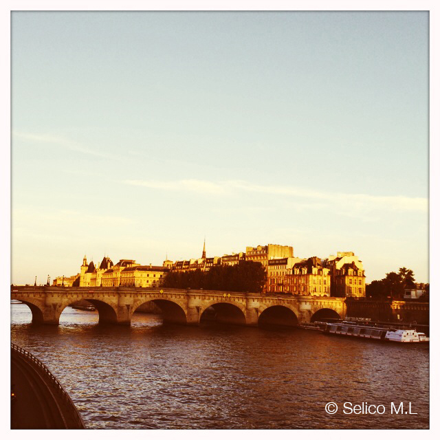 Paris - Site de selicoml