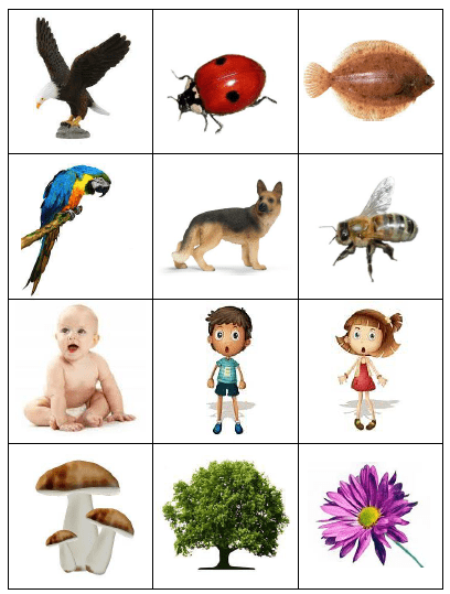 Vivant ou non vivant ? - La Classe de Barnabé