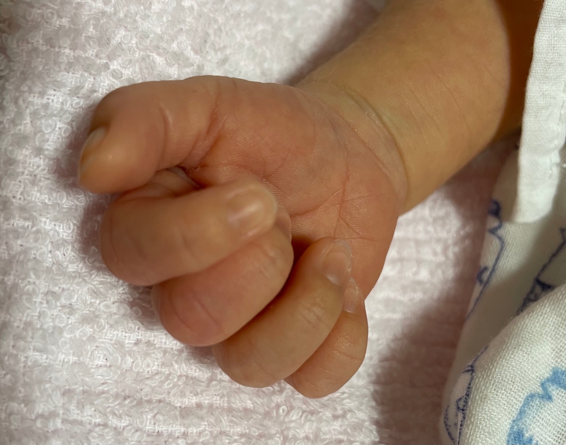 カウンセリングの療法 - bell-418 ページ！