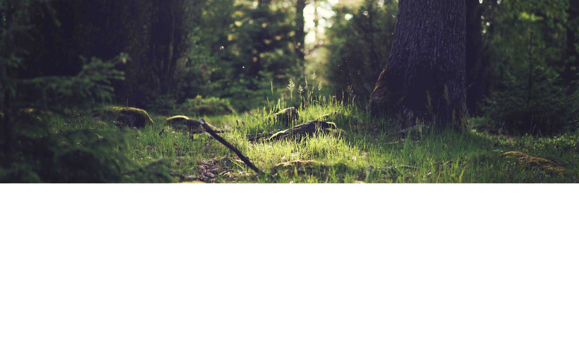 Ríos de Inglaterra - Página web de mapa-londres