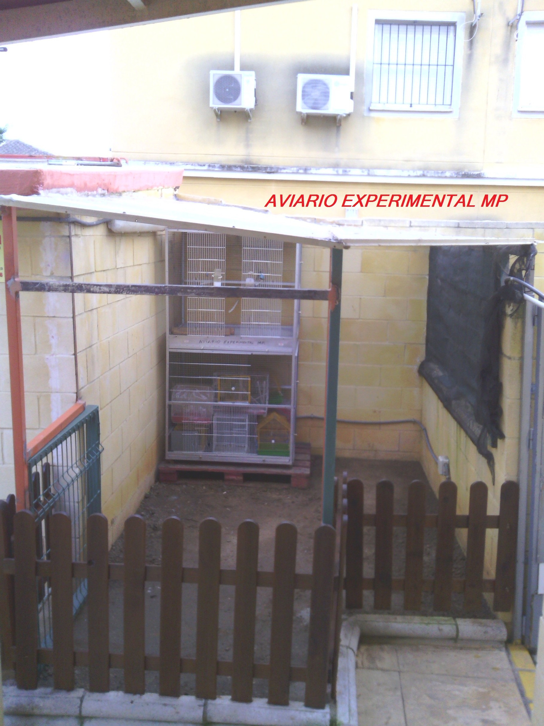 AVIARIO EN EXTERIOR - Página web de aviarioexperimentalmp