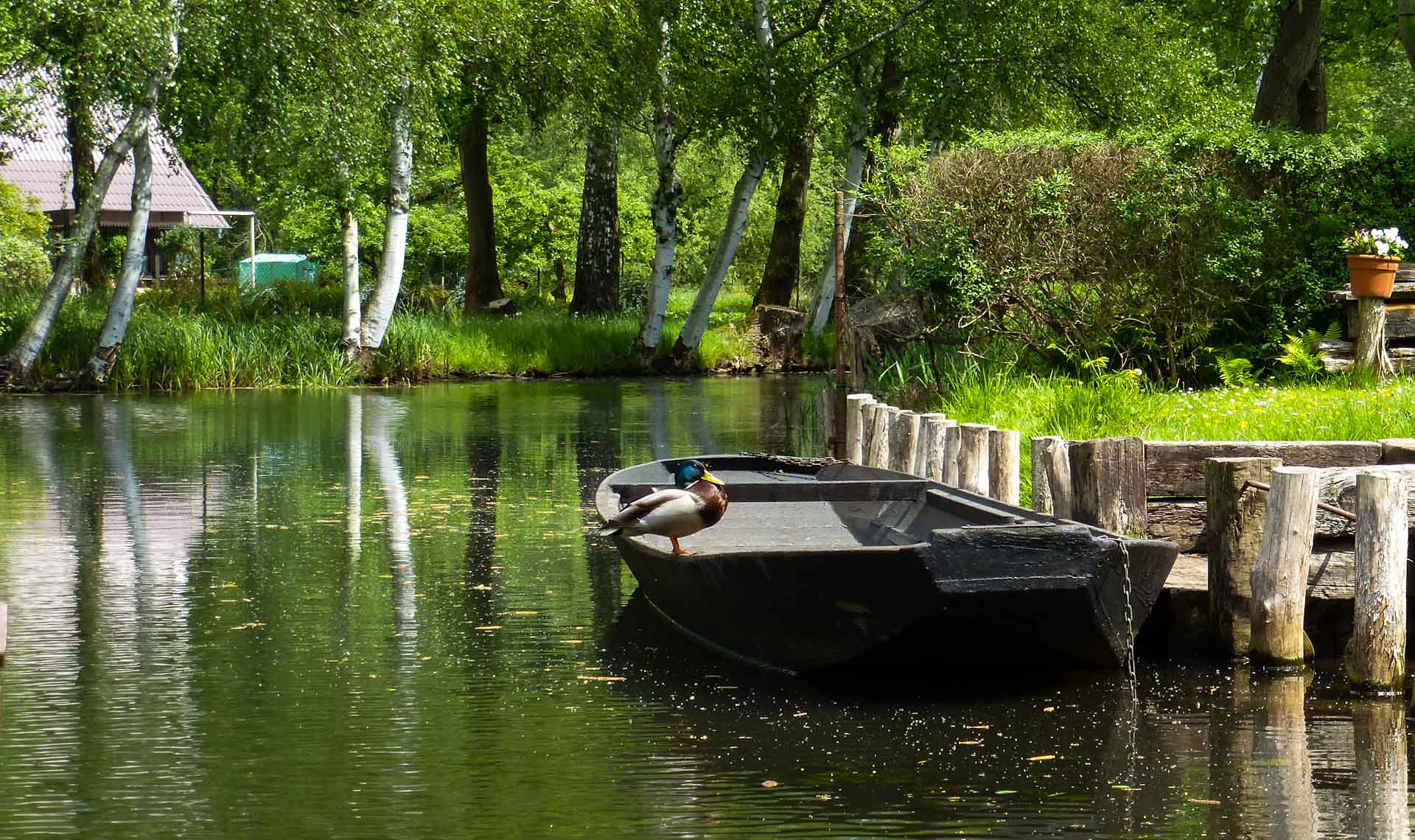 Klassisch 2 Stunden Kahnfahrt ohne Pause - Kahnfahrten im Spreewald
