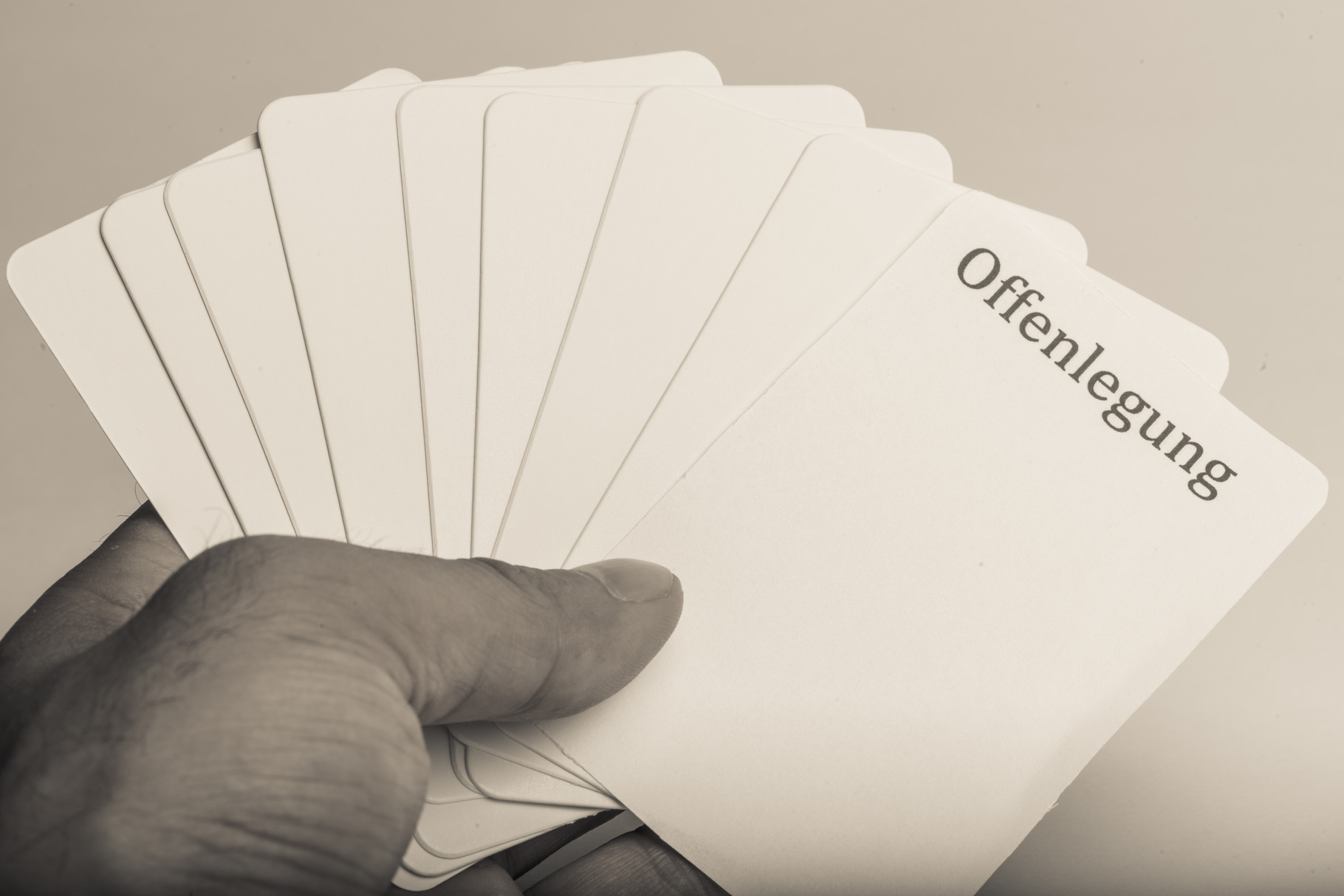 Offenlegung - Faninger Consulting GmbH