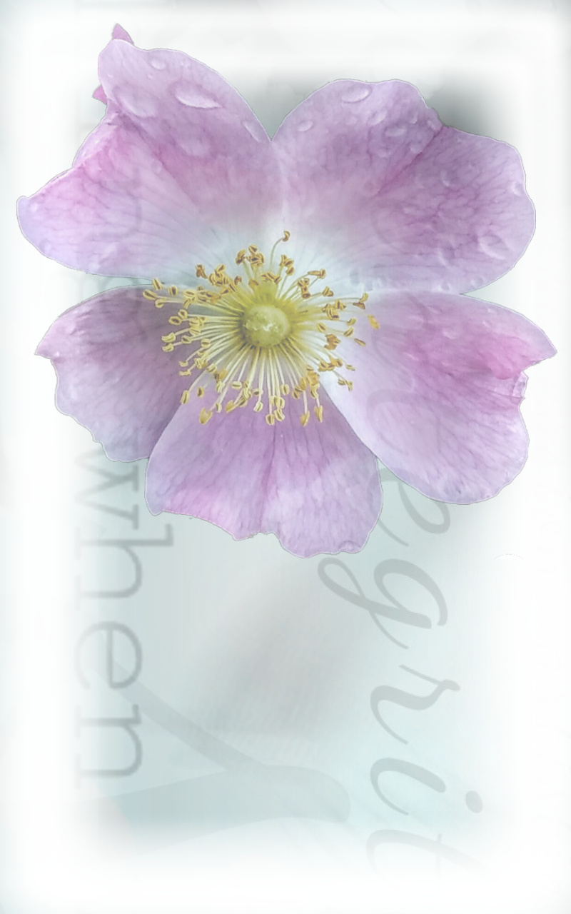 Portfolio - Fourth Eye Digital Arts