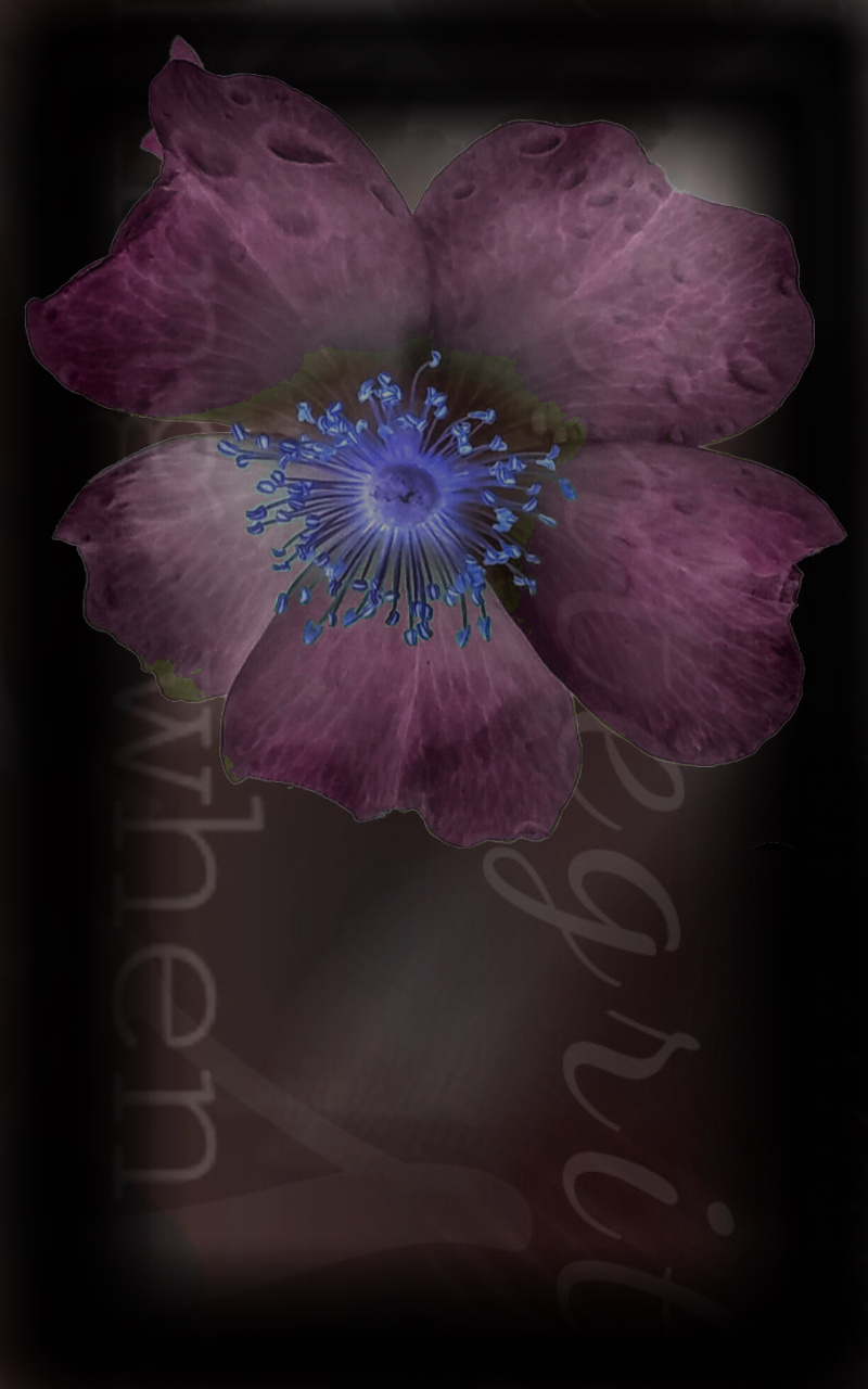 Graphic Design - Fourth Eye Digital Arts: Graphic Design and Consultation