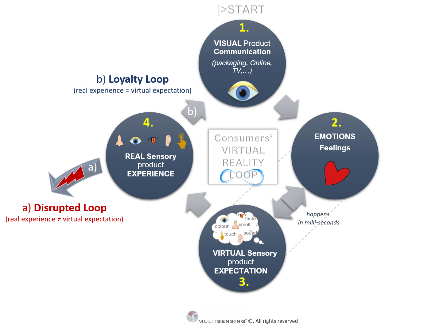 The Customer's VIRTUAL-REALITY loop - MULTISENSING+