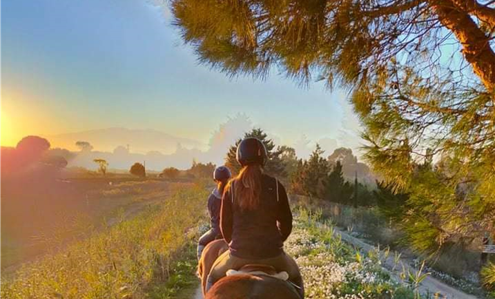 Tarifs - Site Ecurie-finca-del-sol