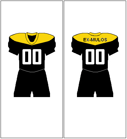 Tocho Flag - mulossalvajess jimdo page!