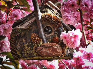 The Alpine Bird House - Given Back Bird Houses