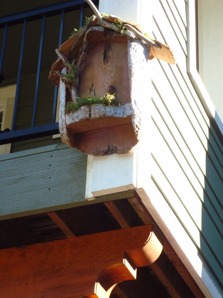 Client Photos: the best part! - Given Back Bird Houses