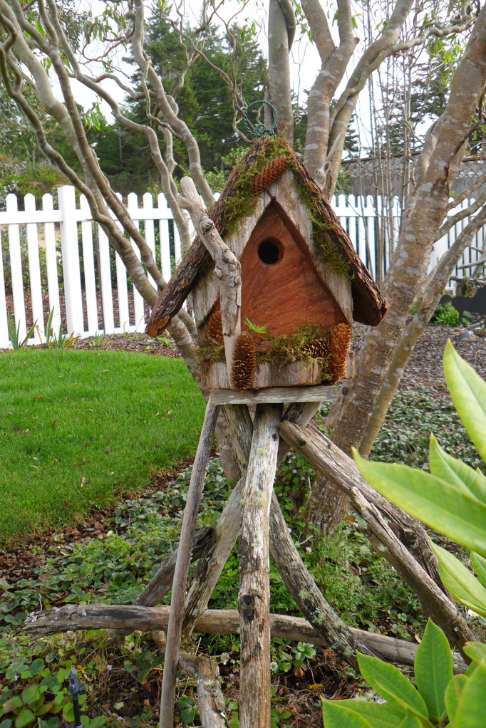 Client Photos: the best part! - Given Back Bird Houses