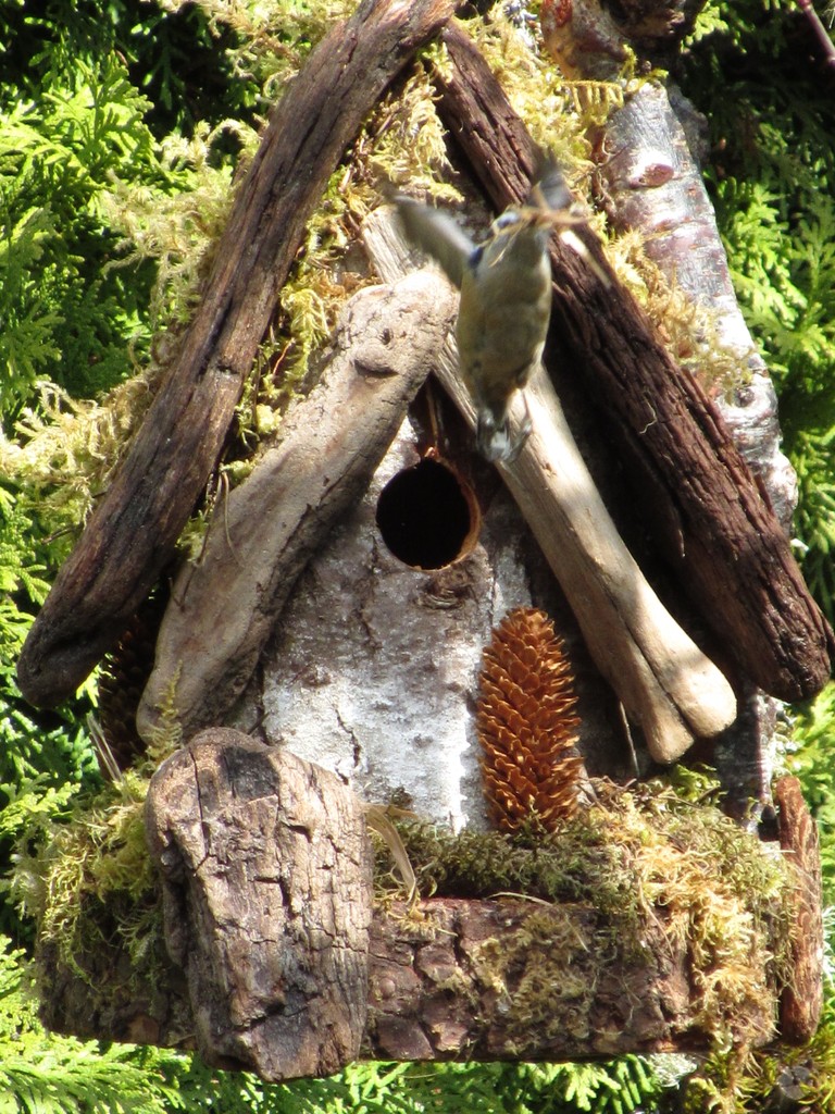 Client Photos: the best part! - Given Back Bird Houses
