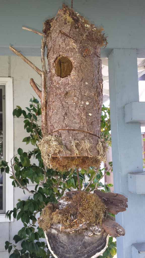 Client Photos: the best part! - Given Back Bird Houses