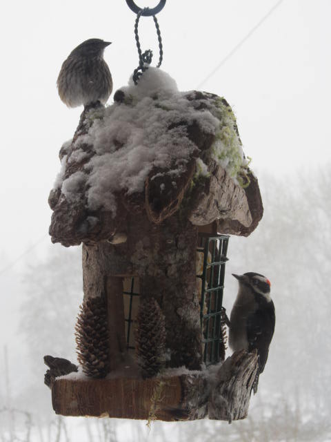 Client Photos: the best part! - Given Back Bird Houses