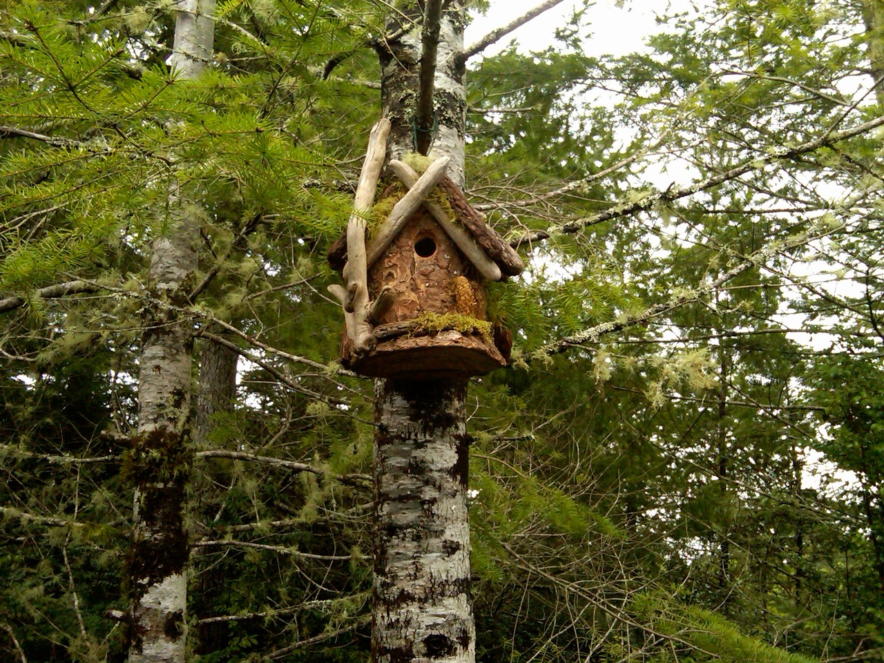 Client Photos: the best part! - Given Back Bird Houses