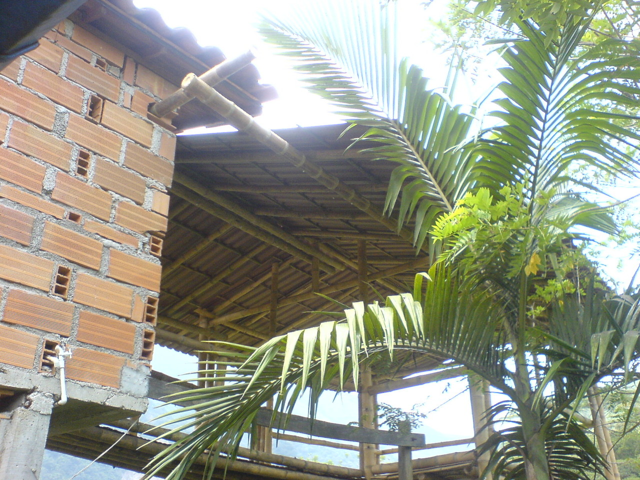 Construcción - PALAKAS