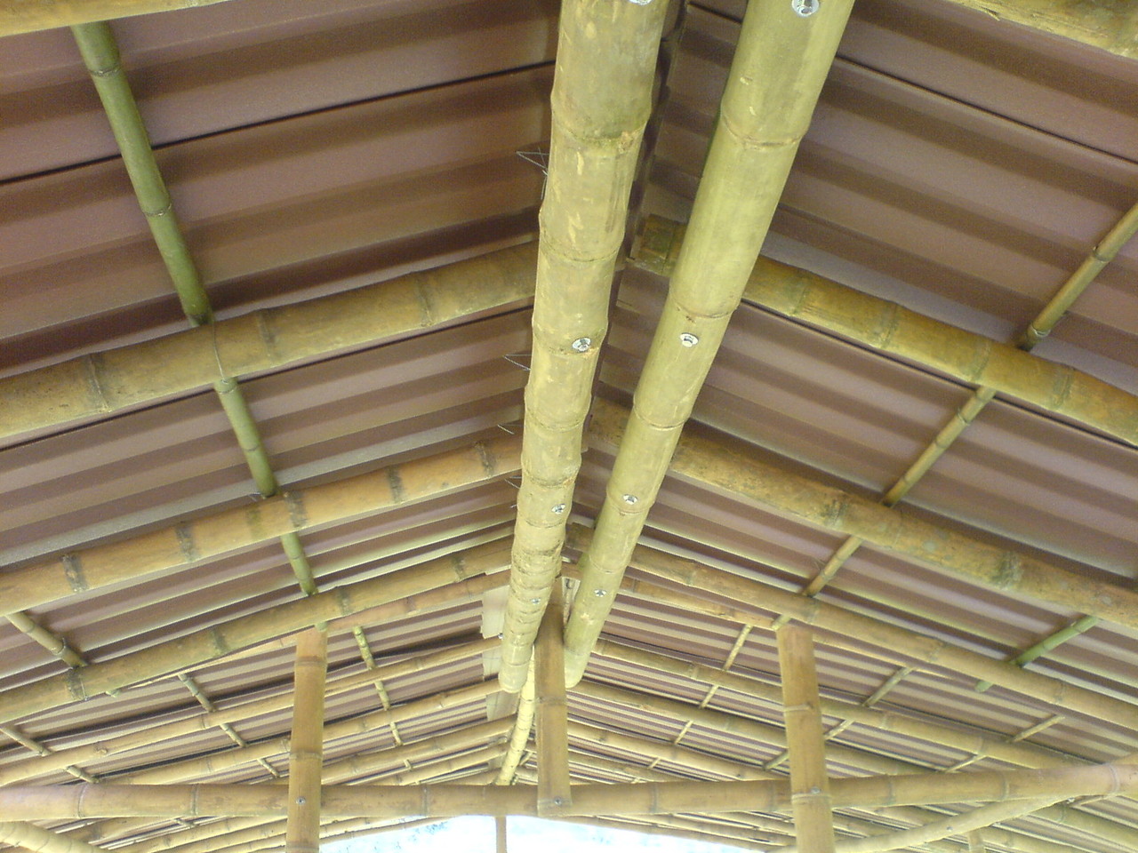 Construcción - PALAKAS