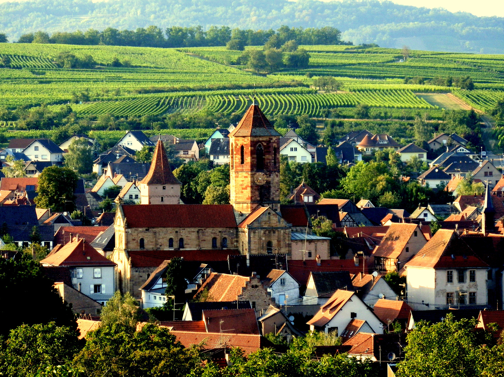 Rosheim en images - Bienvenue aux gîtes du "Leimen" ! Rosheim - Alsace