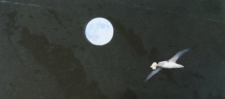 Daniela Wenger - psy-collages Webseite!